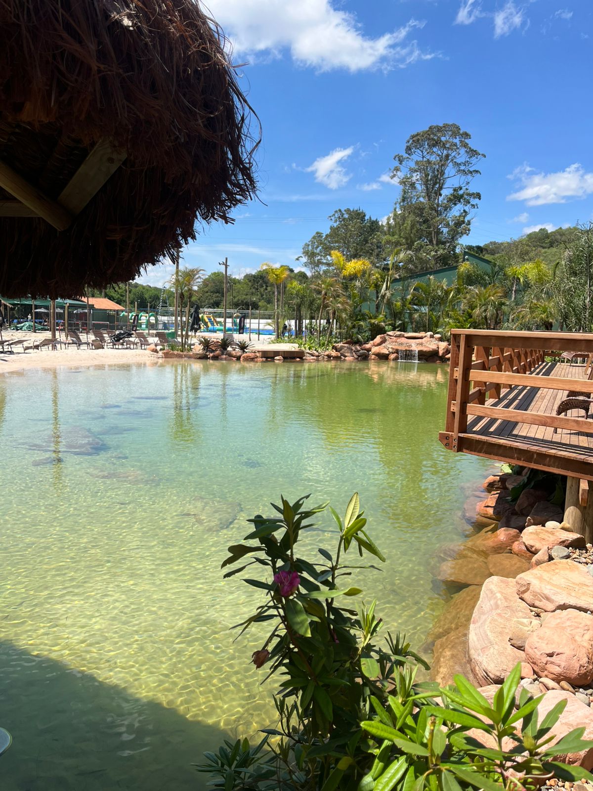 Chácara Paraíso do Sol: O novo turismo de experiência no Brasil fica no ...